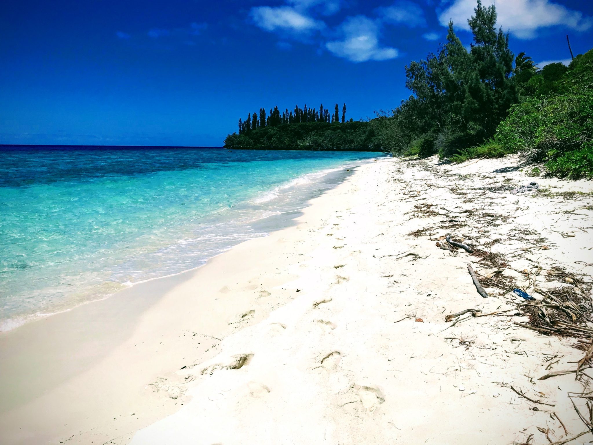 Galerie photo – Lifou Nature