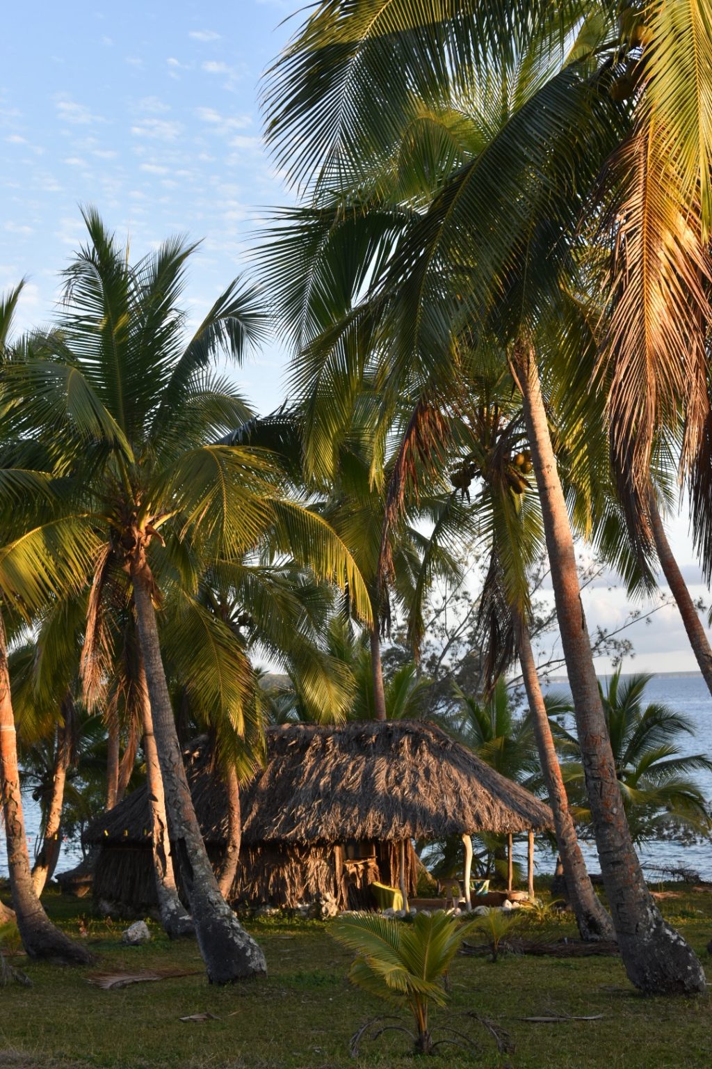 Galerie photo – Lifou Nature
